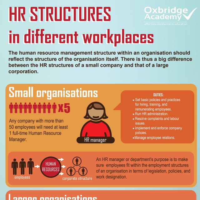 HR Structures in Different Workplaces | PDF