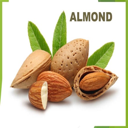 Almond is an important temperate fruit with widespread popularity for ...