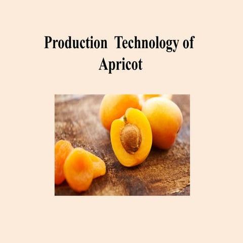 Apricot (P. armeniaca ) is native to China whereas wild apricot ...
