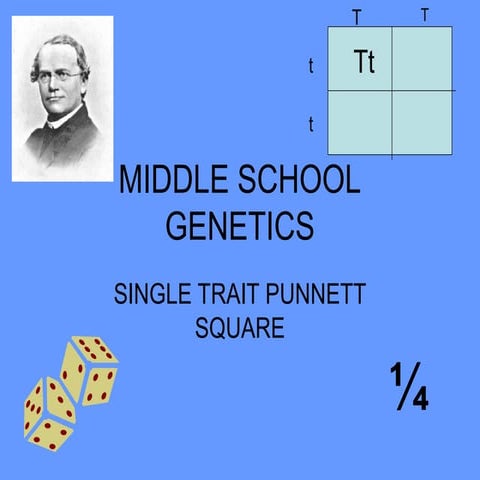 KAL HIGH SCHOOLS 8punnett Square PPT 2.ppt