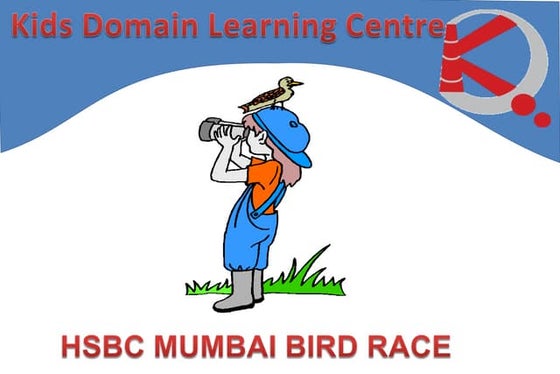 Bird Race Ppt | PPT