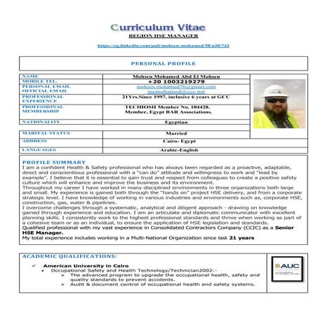Projects HSE Manager | PDF