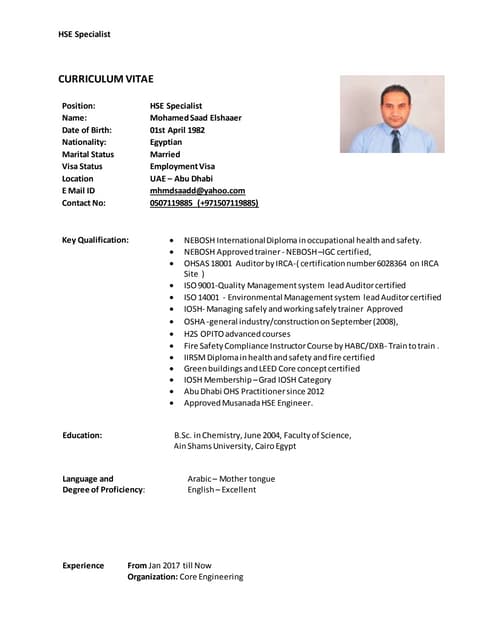 Hse cv english | PDF