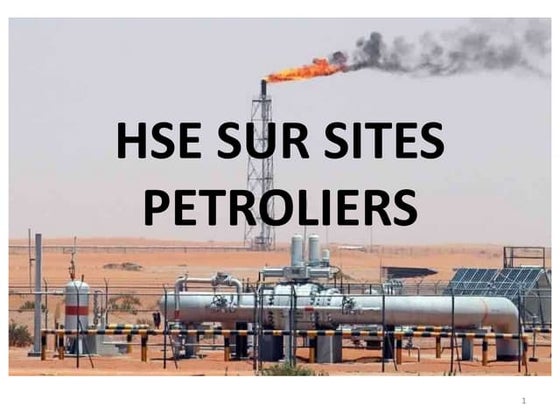 HSE CONSULTATION AND COMMUNICATION MANAGEMENT PROCEDURE | PDF