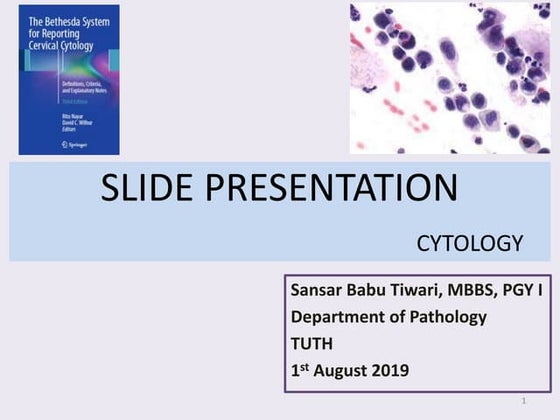 Atlas on bethesda system for reporting cervical cytology | PDF