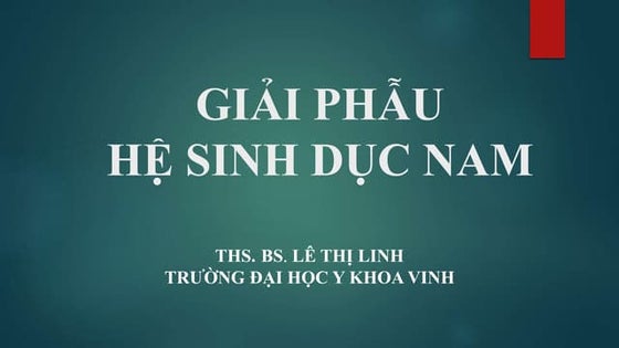 Giai phau he sinh duc | PPT