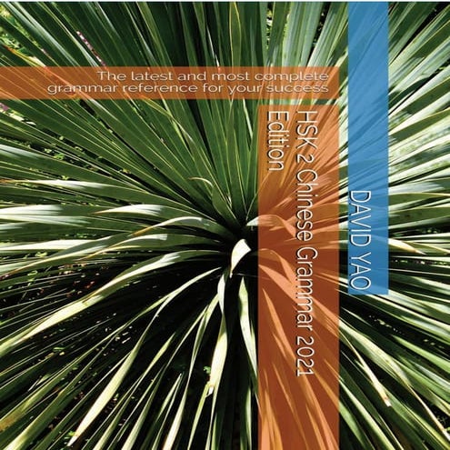 HSK 2 Chinese Grammar 2021 Edition 汉语水平考试规范性语法 - The latest and most ...