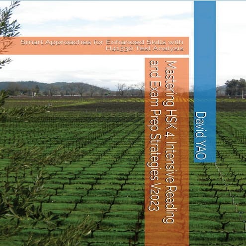 HSK 4 Chinese Intensive Reading for Intermediate Level V2009 H41330 ...