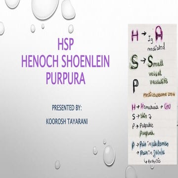 Hsp - Henoch-Schönlein purpura | PPT