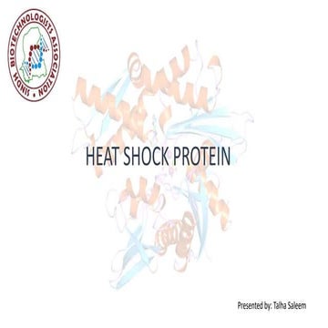 Heat Shock Protein | PPTX