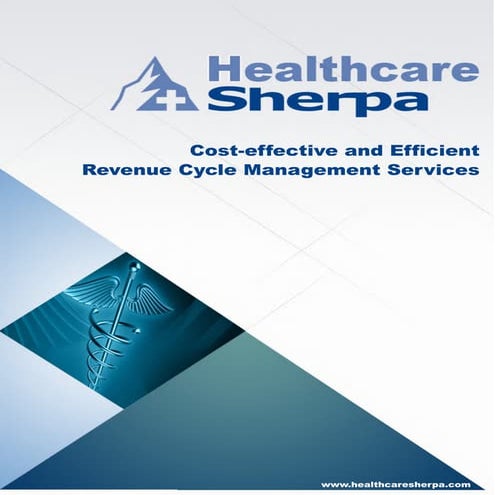 Healthcare Sherpa profile | PDF
