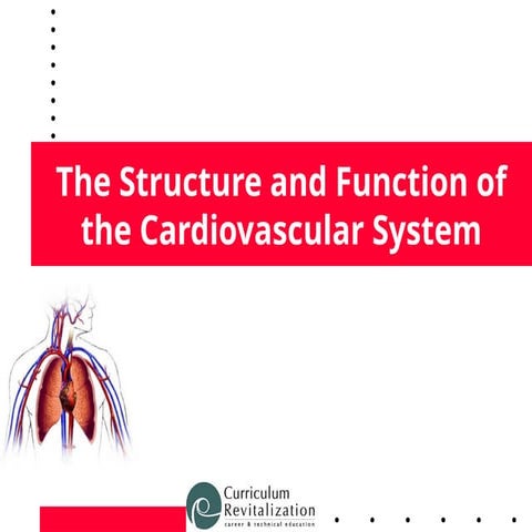 Cardiovascular system powerpoint presentation | PPT | Heart and ...