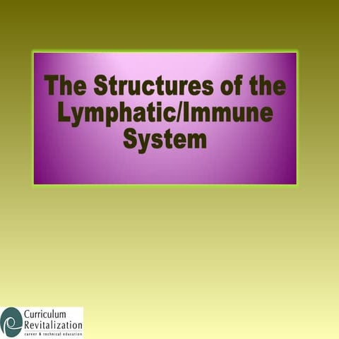 Lymphatic system power point presentation | PPT