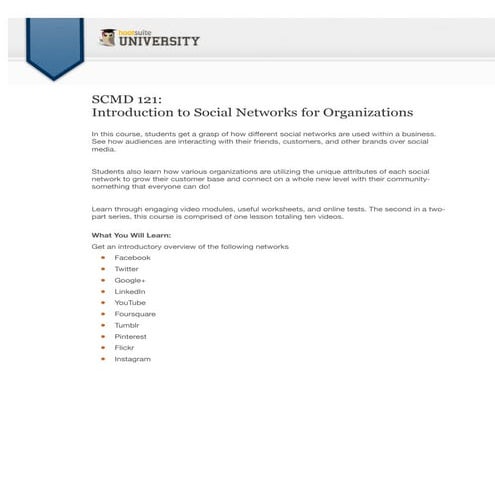 Introduction to Social Networks for Organizations | PDF