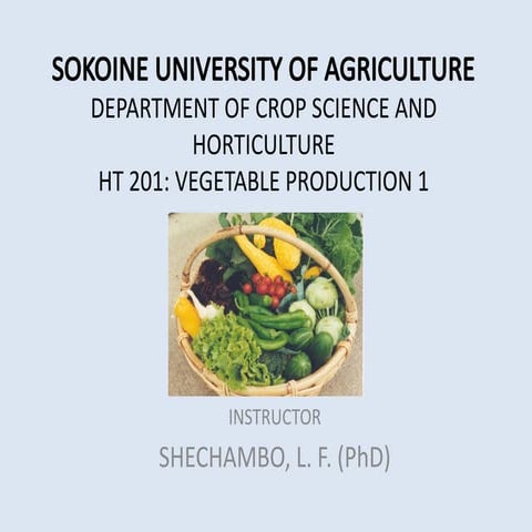 1. Basic Concepts in Vegetable Production.pptx