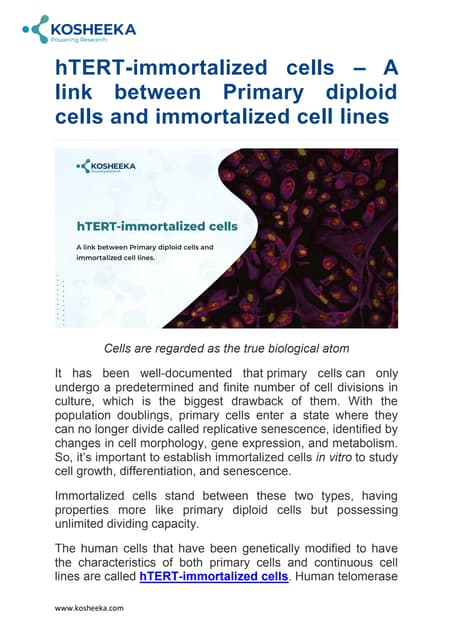 Htert Immortalized Cells A Link Between Primary Diploid Cells And