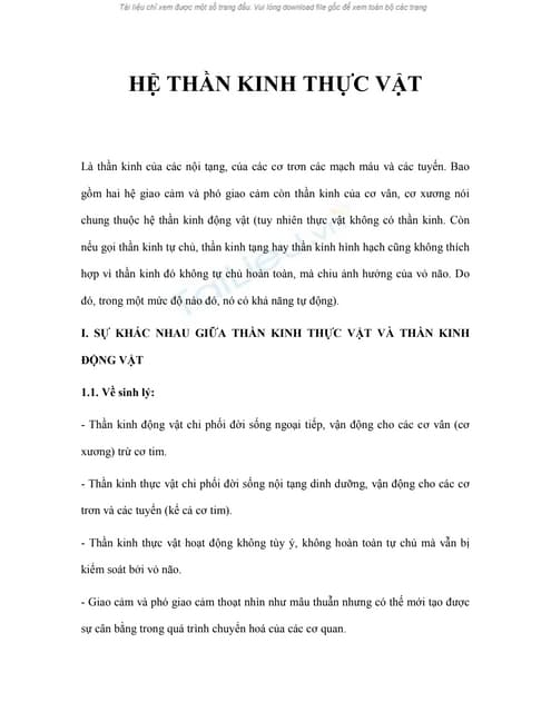 HỆ ThẦn Kinh ThỰc VẬtpdf