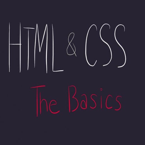 HTML Basics | PDF