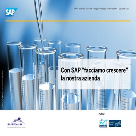 Guala sap success_story_erp | PDF