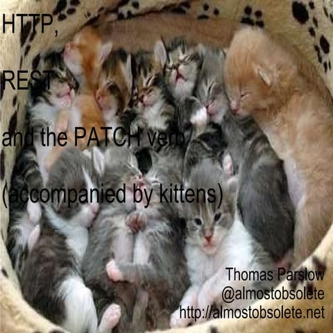 Rest And The Patch Verb With Kittens Ppt