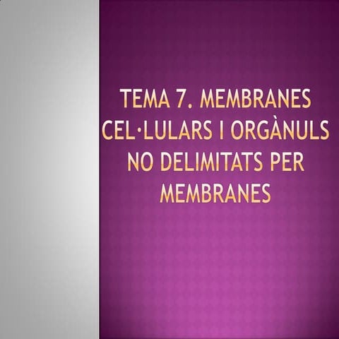 Httpseducaciodigital.catiesb7moodlepluginfile.php265781mod ...