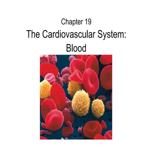 httpslearn-us-east-1-prod-fleet02-xythos.content.blackboardcdn.com5d44406cac91b284010503X ...