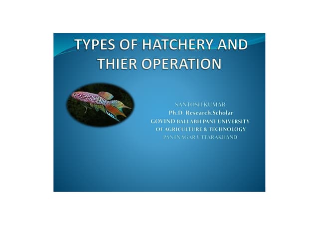 fin fish hatchery | PPTX