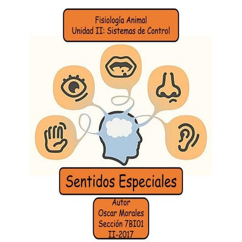 UNIDAD 2 CONTENIDO 1 SENTIDOS ESPECIALES | PPTX