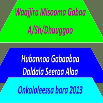 Leenjii hammata Seeraa Bulchiinsa Faayinaansii Mootumaa (1).pptx