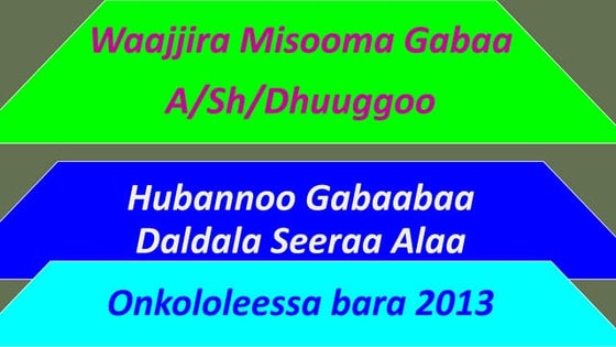 Biiroo Pabliik Sarviisii fi Misooma Qabeenya Namaa Oromiyaa Wixinee ...