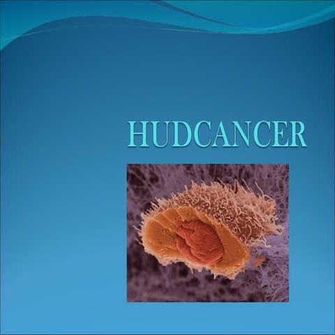 Hudcancer!![1] | PPT