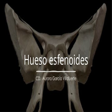 HUESO ESFENOIDES: Descripción anatómica y topográfica | PPTX