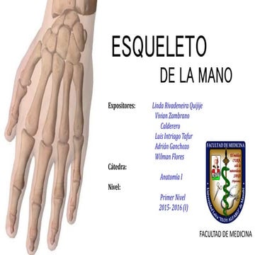 Anatomía De La Mano Ppt