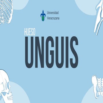 Presentación anatomía del Hueso Unguis.pdf