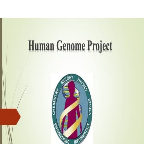 human genome project(HPG) a brief summary .pptx