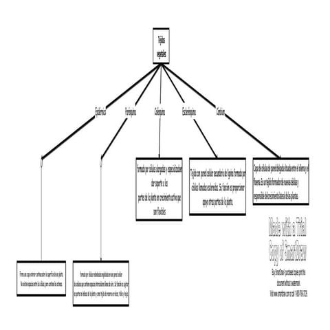 MAPAS CONCEPTUALES | PPTX