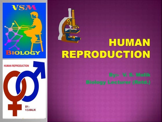 HUMAN REPRODUCTION .pptx class XII Biology | PPTX | Infertility | Reproductive Health