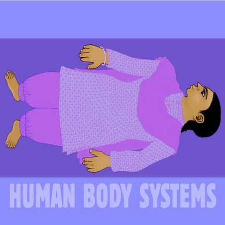 Human body-systems in 3D image | PDF