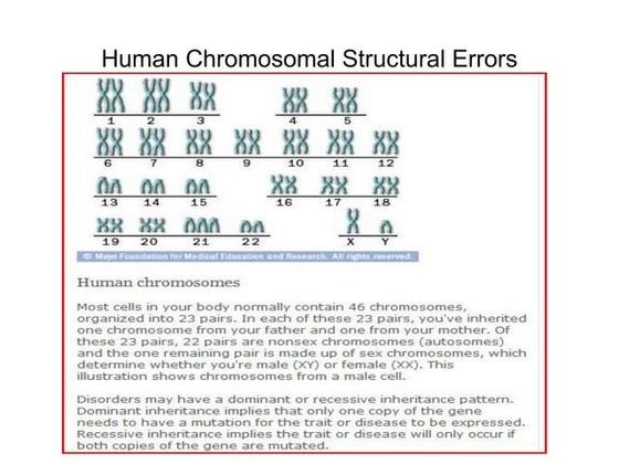 Human chromosomal structural errors | PPT