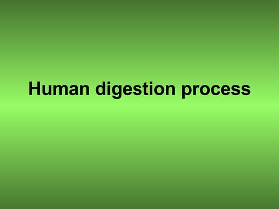 Human Digestive Process | PPT