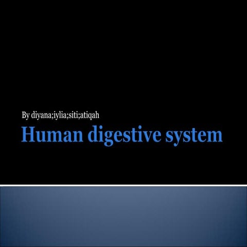 Human Digestive Process | PPT