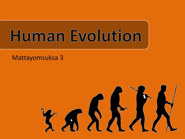 Early humans ppt | PPT
