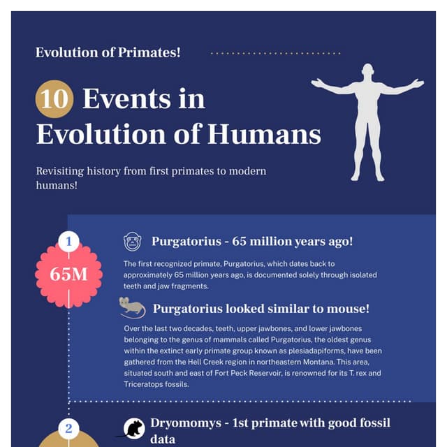 Infographic Timeline of Human & Primates Evolution | PDF