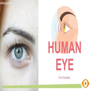 Human-Eye-Template.pptx