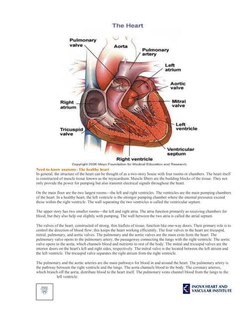 Heart valves- A detailed medical information about heart valves ...