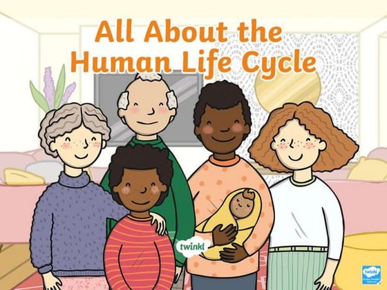The human life cycle | PPT
