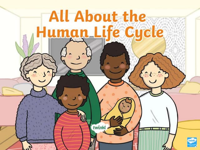 The Human Life Cycle Ppt 7922