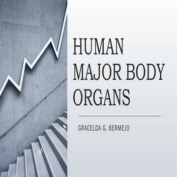 Human-Major-Body-Organs.pptx for college | PPTX