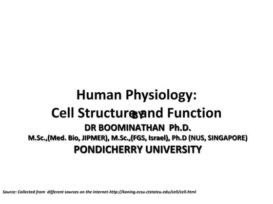 Anatomy and Physiology - First Year Pharmacy Lecture # 01 | PPT