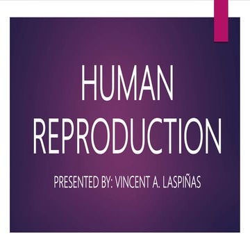 HUMAN-REPRODUCTION | PPT